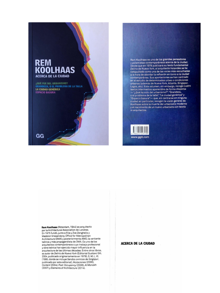 REM KOOLHAAS, Acerca de La Cuidad | PDF
