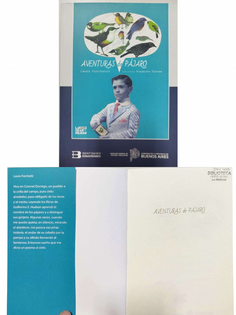 Aventuras de Pájaro - Laura Forchetti | PDF