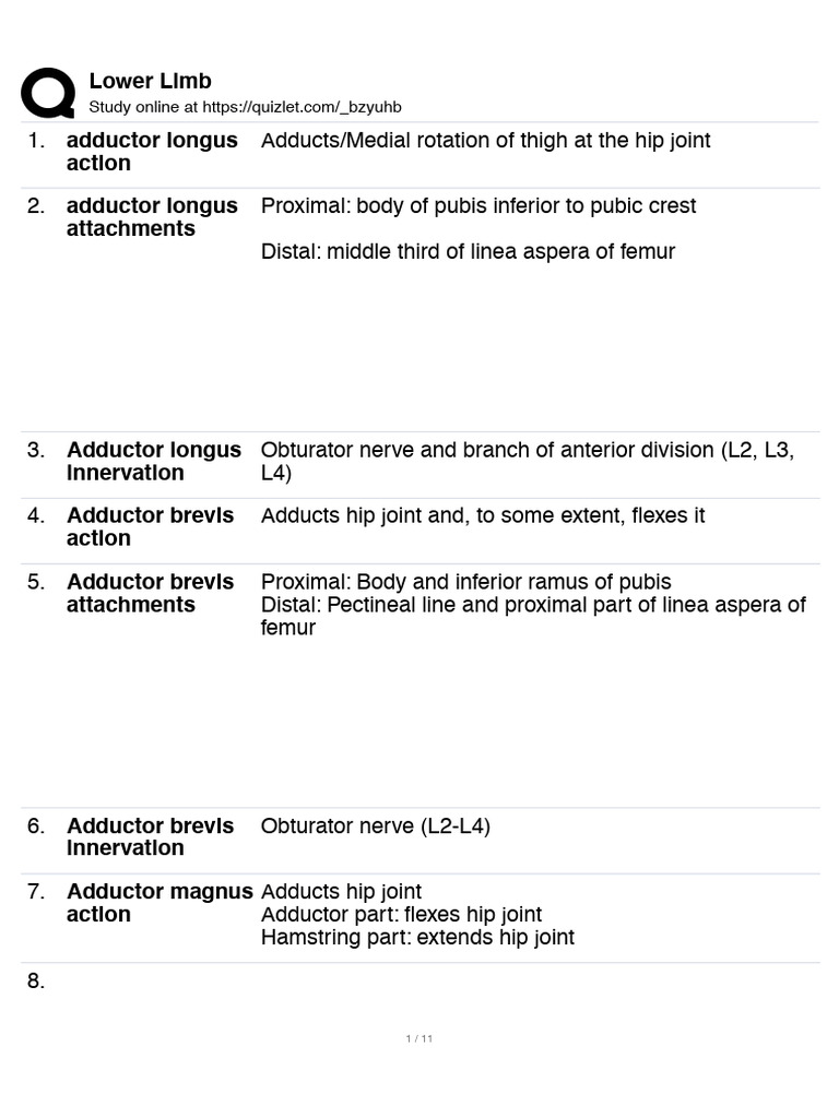 2.1 Lower Limb Flashcard | PDF | Human Leg | Knee
