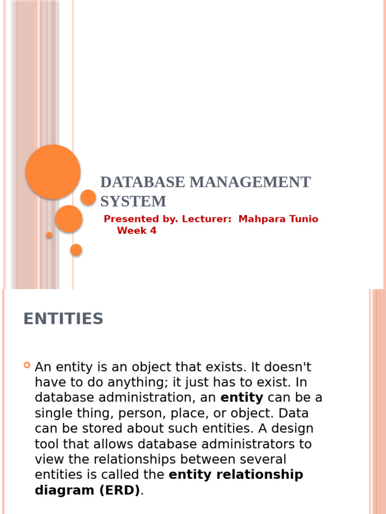 Entity and Attributes | PDF