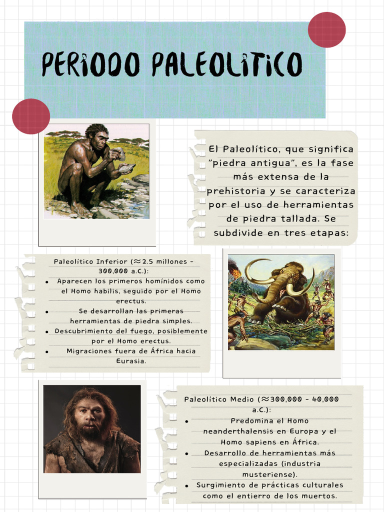 Periodo Paleolitico y Neolitico | PDF | Homo | Paleolítico