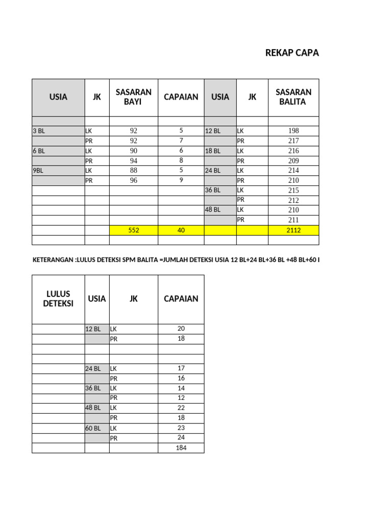 Rekap Capaian Sdidtk Perbulan Jan-Des 25 | PDF