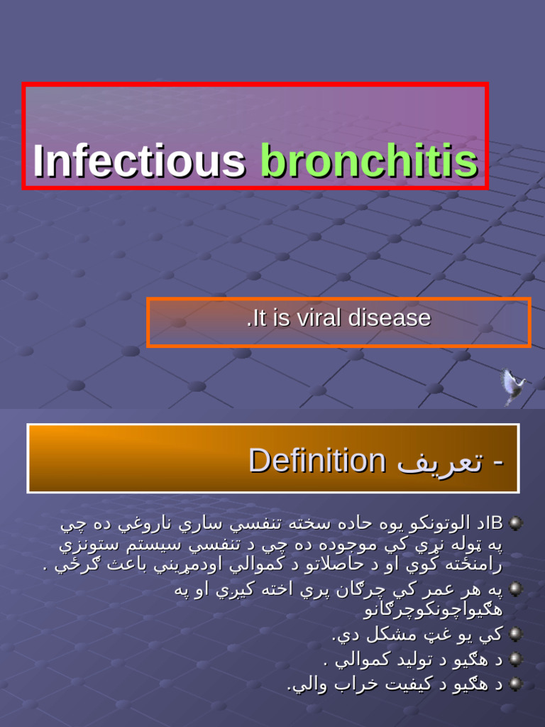 Infectious Bronchitis | PDF