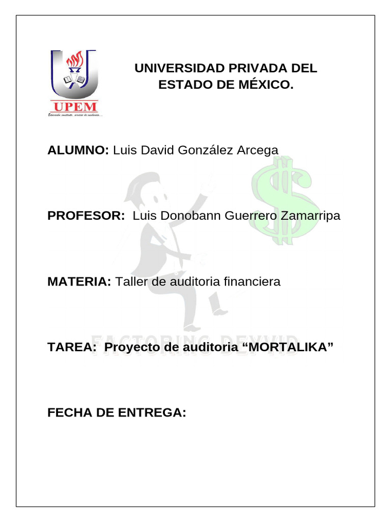 Proyecto de Auditoria 8vo | PDF