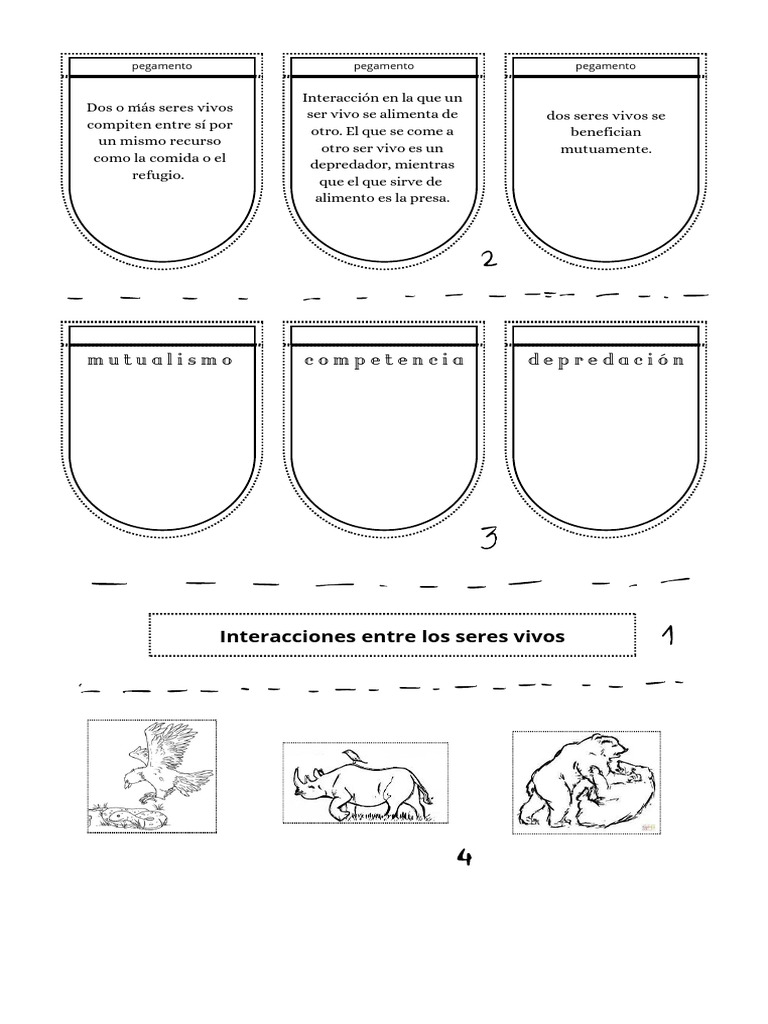 Interacciones entre Seres Vivos | PDF