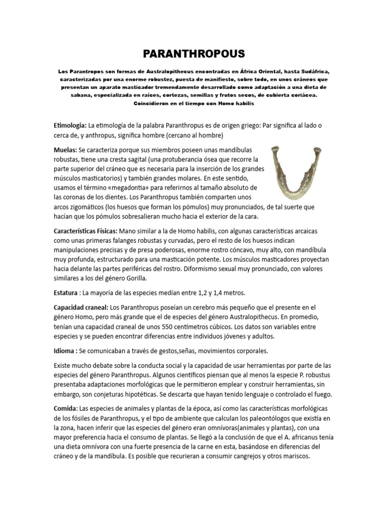 Paranthropus: Características y Extinción | PDF