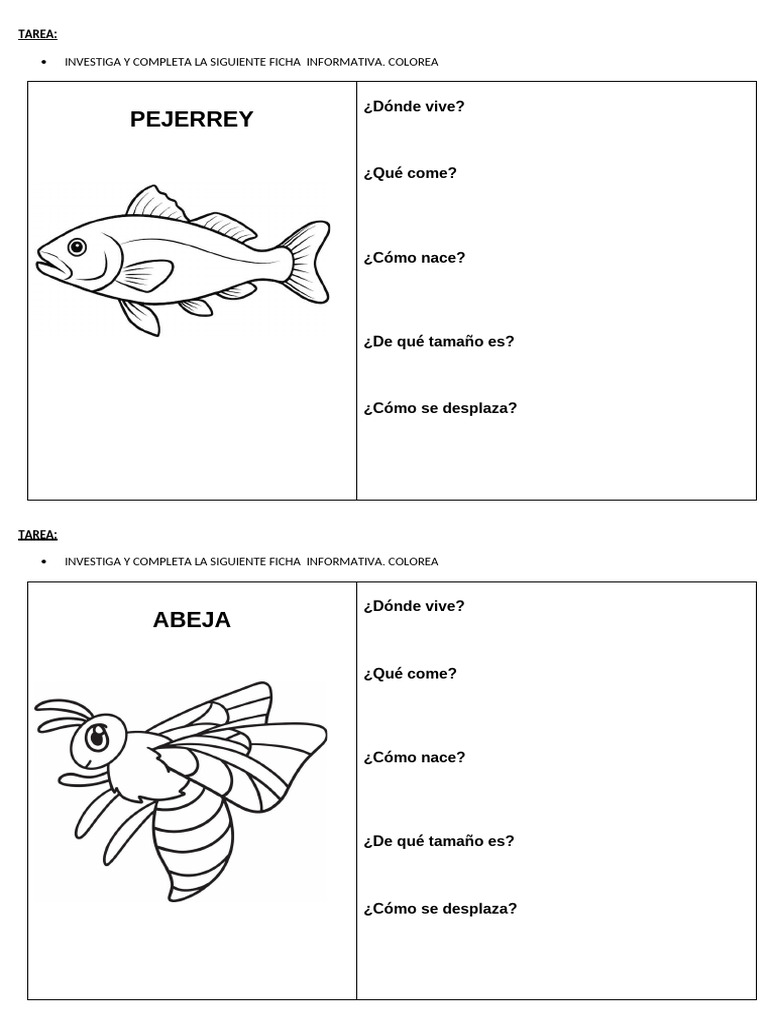 Fichas Informativas de Animales para Niños | PDF | Zoología