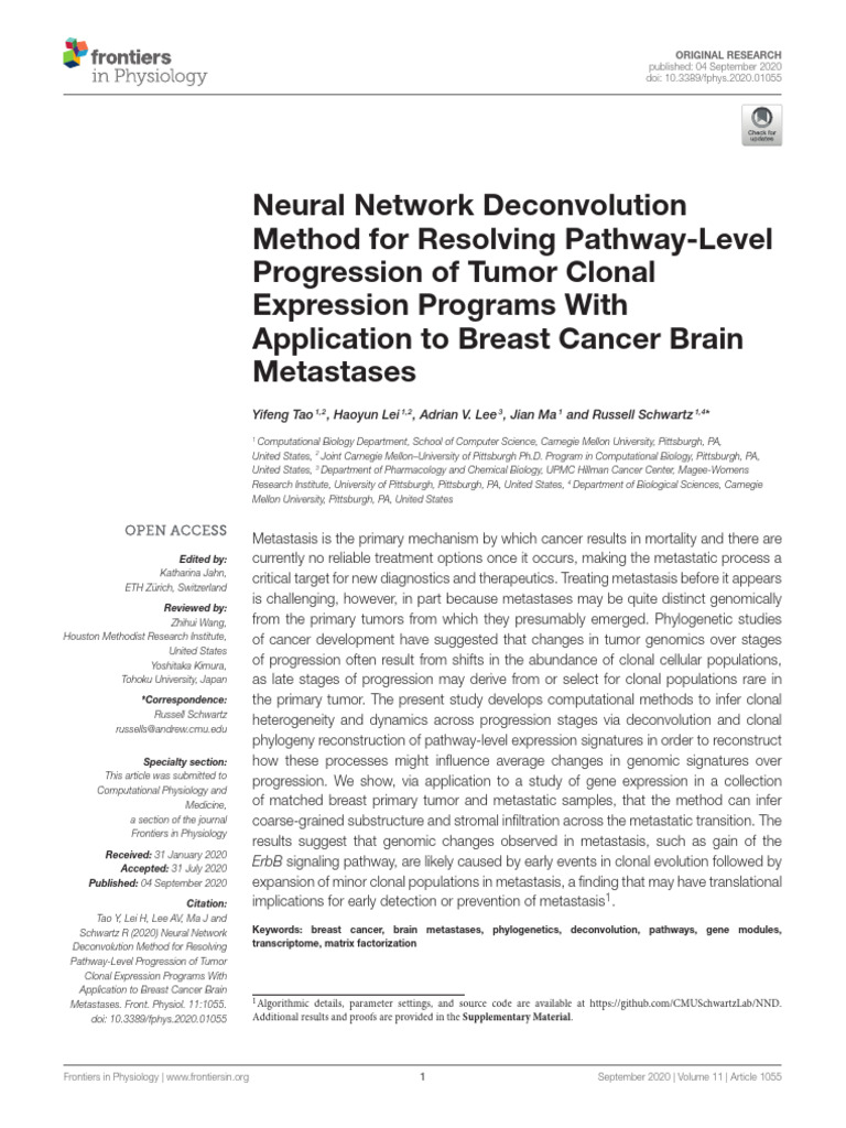 Neural Network Deconvolution Method for Resolving | PDF | Metastasis | Neoplasms