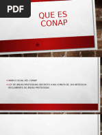 Qué Es El CONAP | PDF