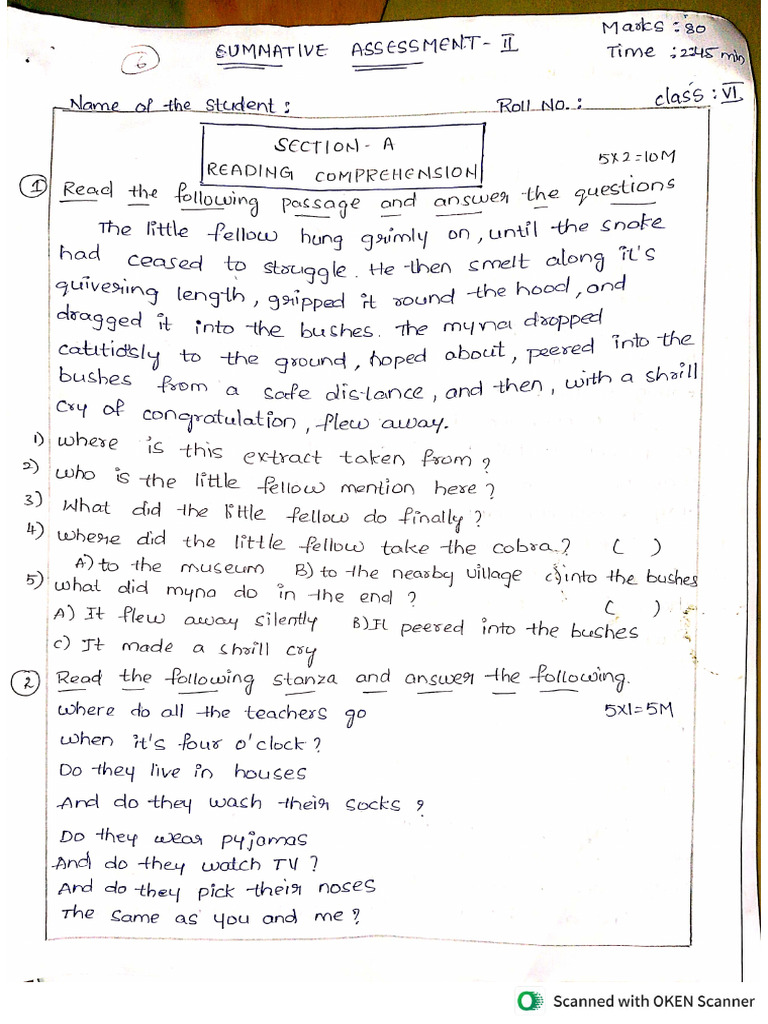 6th Class English | PDF