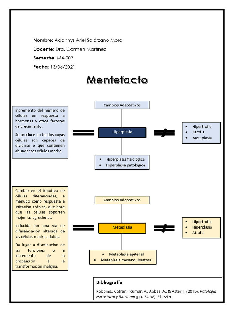 Solórzano Mora Adonnys Ariel - Mentefacto | PDF
