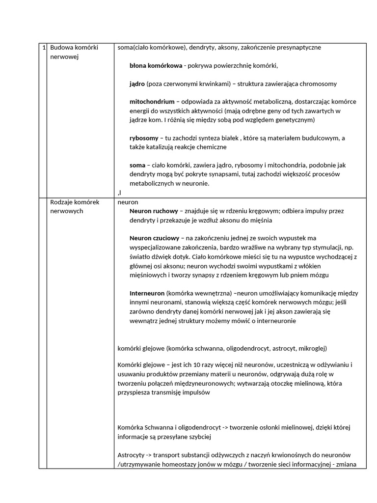 BPZ Opracowanie | PDF