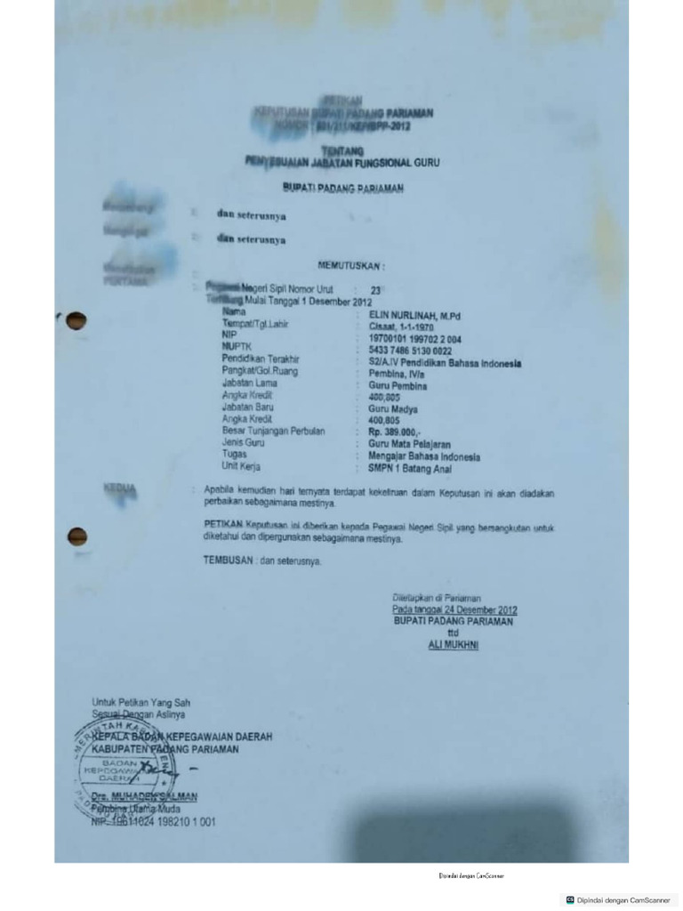 SK Jabatan Fungsional | PDF