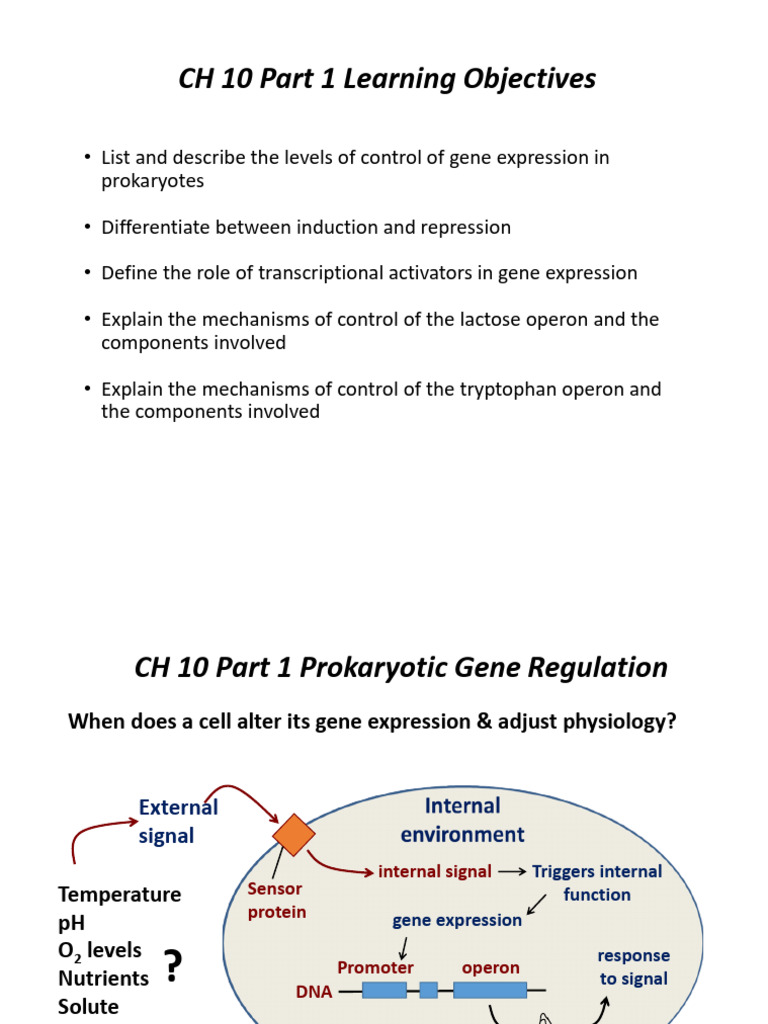 CH 10 Part 1 Prokaryotic Gene Regulation-1 | PDF | Operon | Repressor