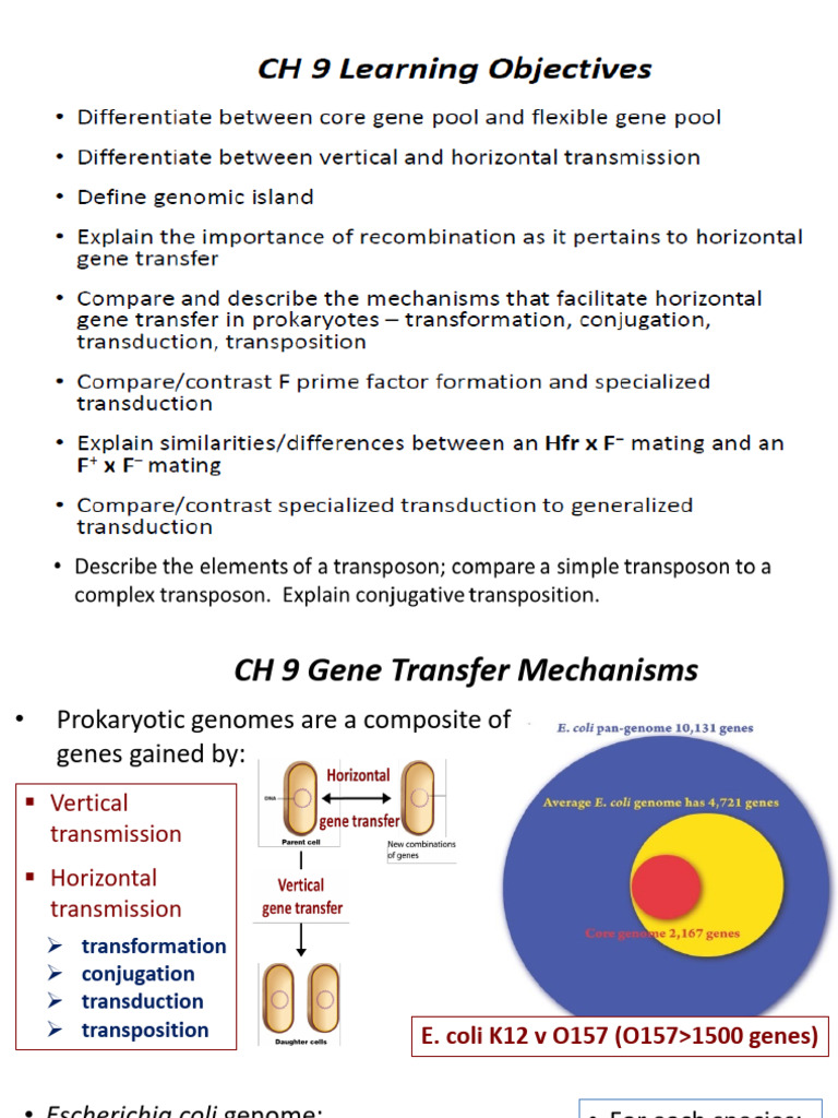 CH 09 Gene Transfer Mechanisms-1 | PDF | Transposable Element | Plasmid