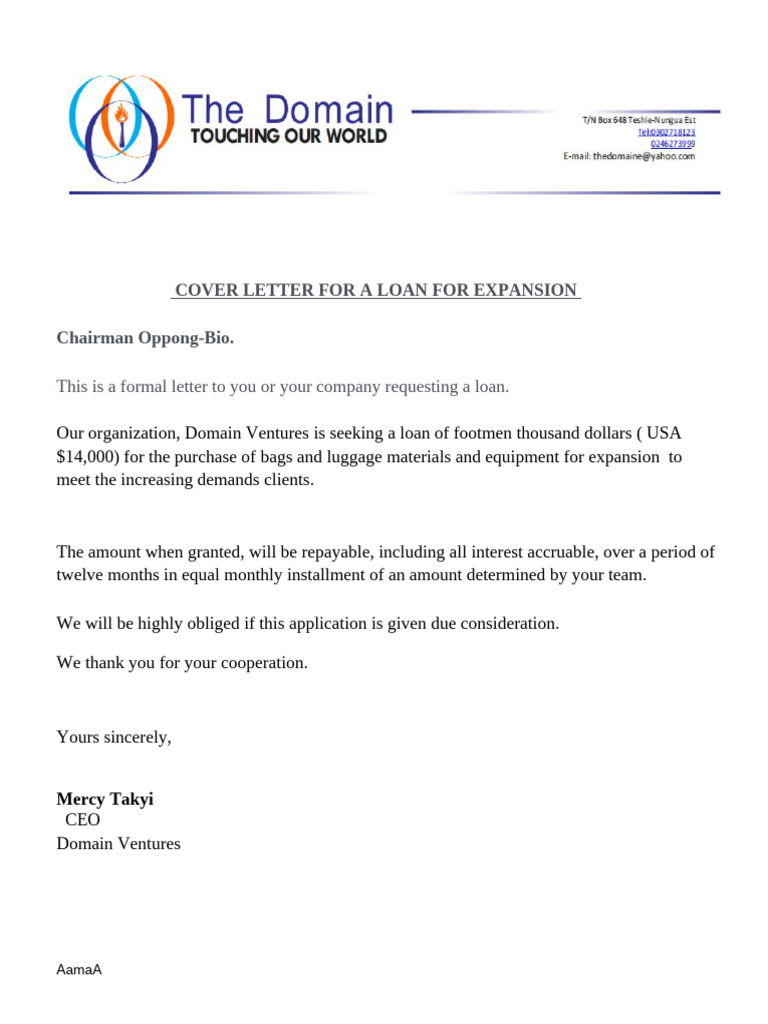 THE DOMAIN BUSINESS PLAN New | PDF | Market (Economics) | Retail