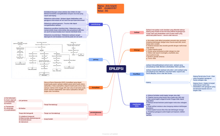 Arie Istanti - G2A023157 - Mind Mapping Epilepsi | PDF