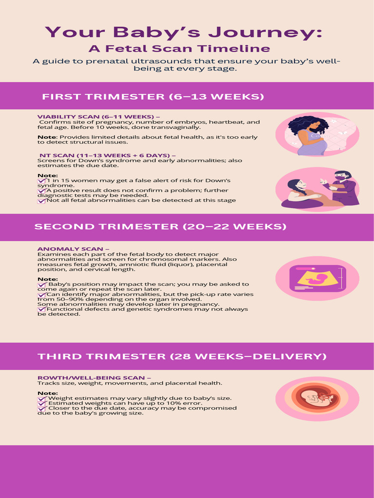 Infograph Fetal Scan - PDF 3 | PDF