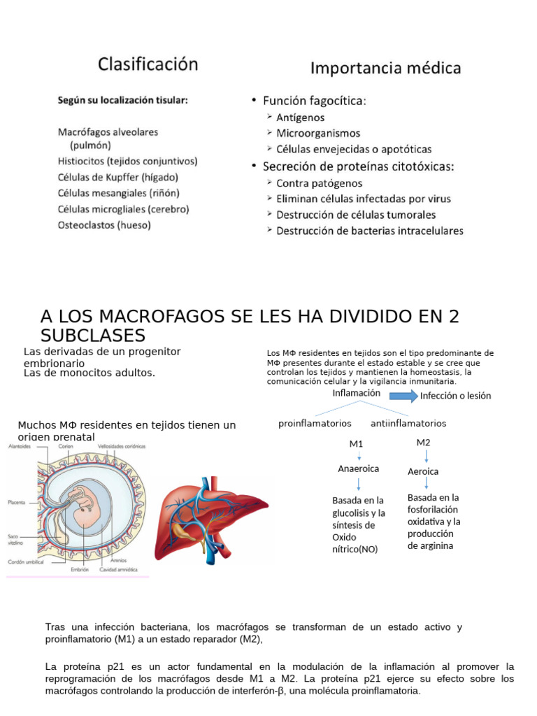 Reprogramación de Macrofagos | PDF