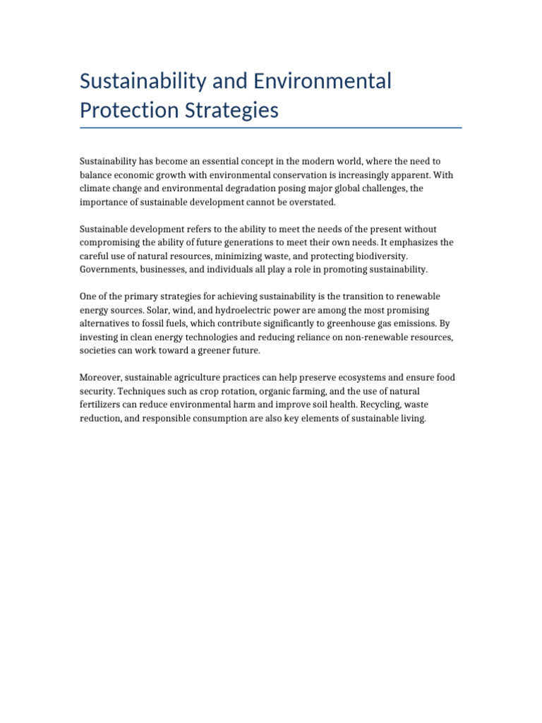 Sustainable Development Strategies Explained | PDF