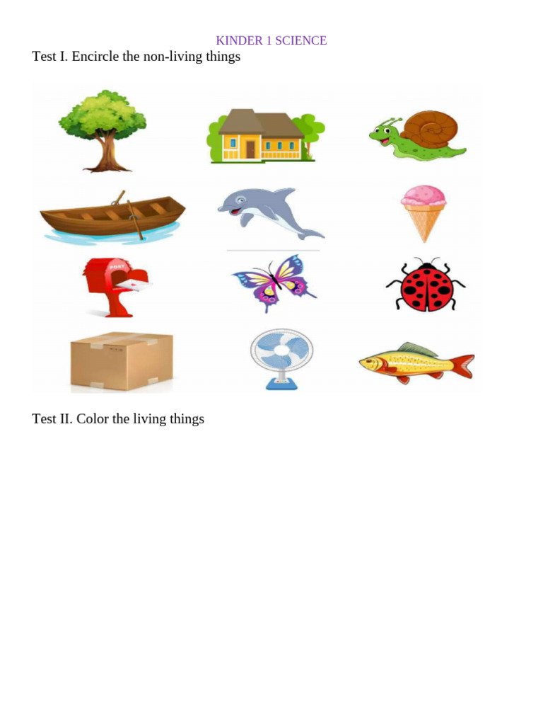 Kinder 1 Science | PDF