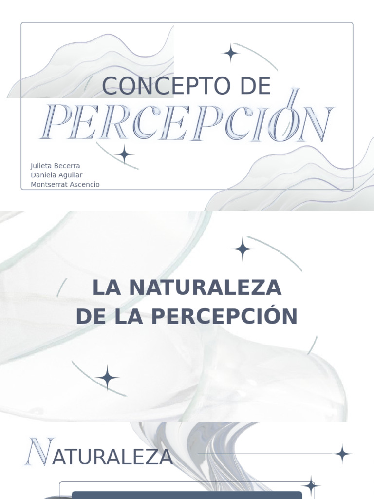 Sobre El Concepto de Percepción | PDF | Percepción | Concepto