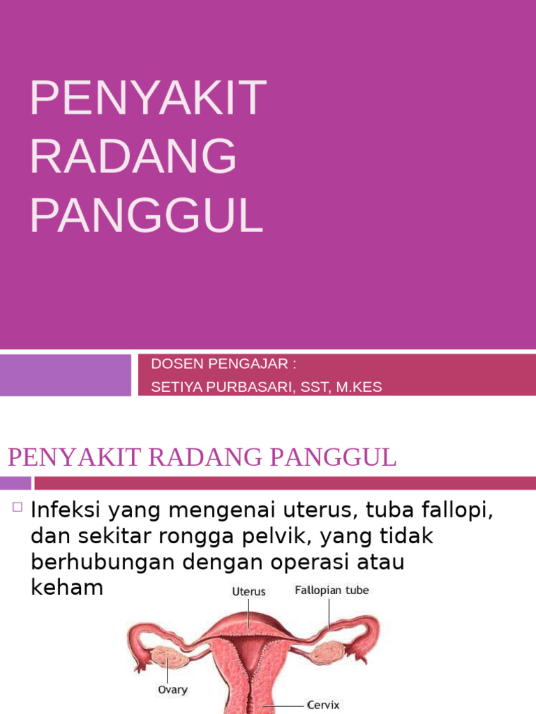 Penyakit Radang Panggul Pelvic Inflammatory Disease PID | PDF ...