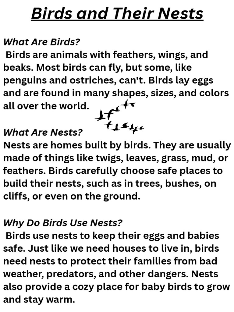 What Are Birds? | PDF