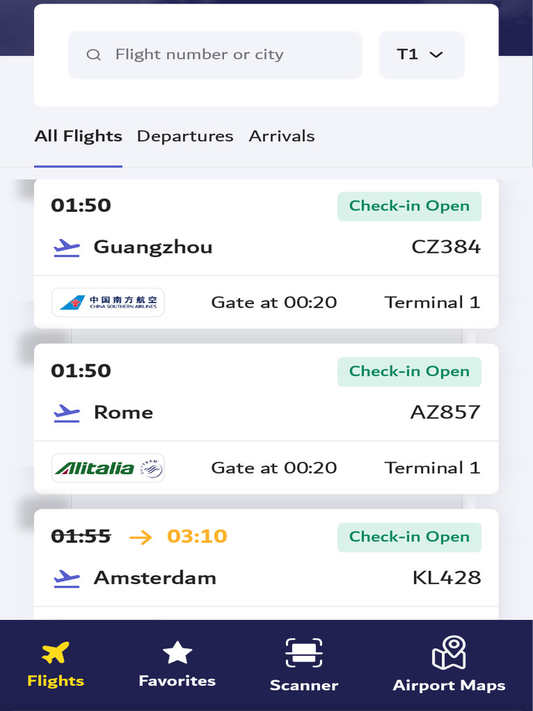 Pocket Flights | PDF