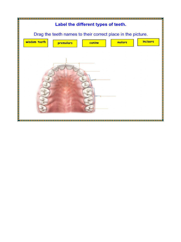 Worksheet 368802 | PDF