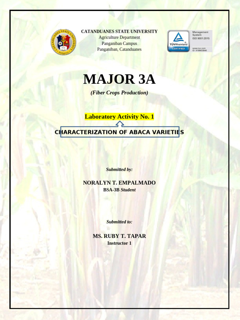 Abaca Variety Characterization Guide | PDF | Agriculture | Leaf