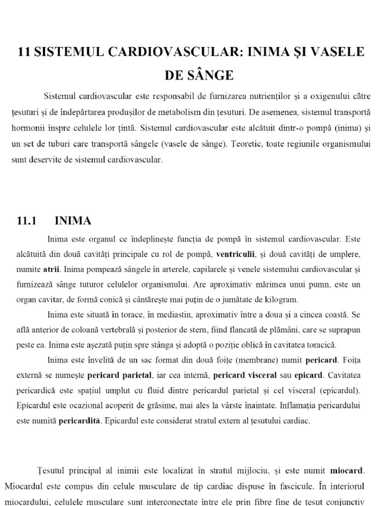 Sistemul Cardiovascular INIMA | PDF