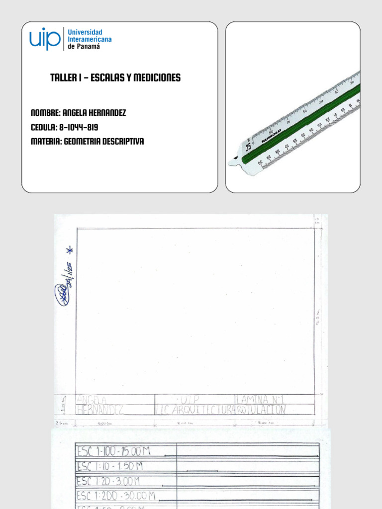 Taller 1 - Escalas y Mediciones | PDF