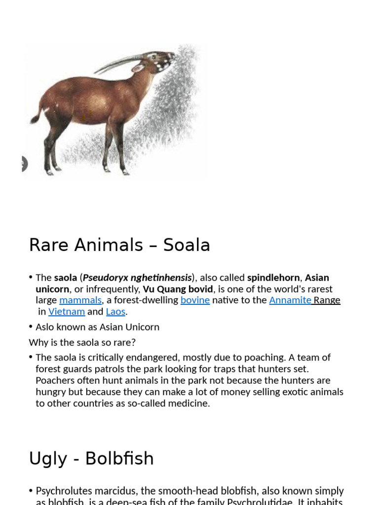 English | PDF | Zoology
