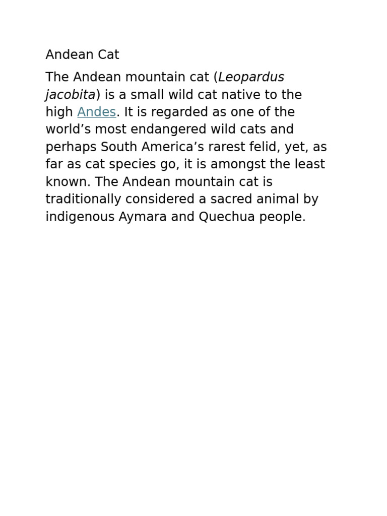 Endangered Andean Mountain Cat Facts | PDF