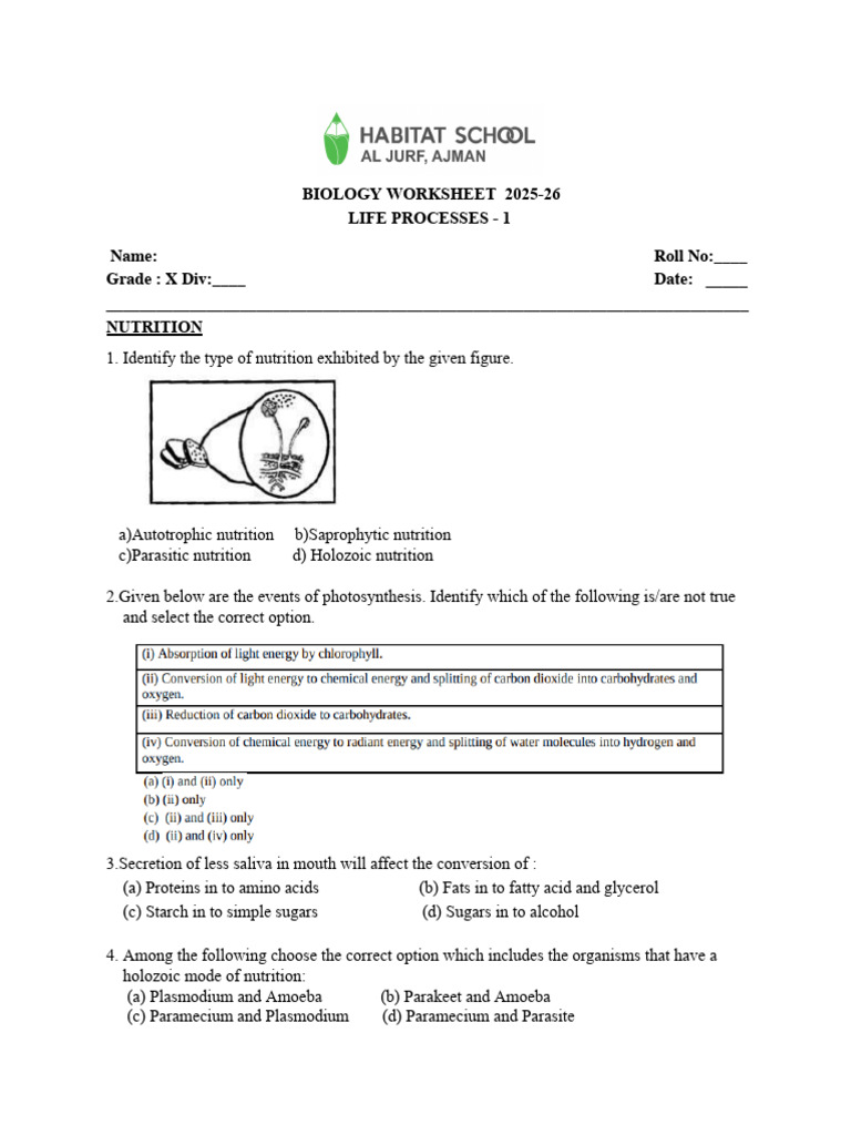 Grade 10-Life Processes Worksheet - No - 1 - 2025-26 | PDF | Digestion ...