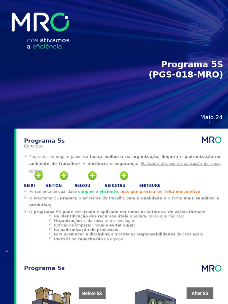 Treinamento de Programa 5S (PGS-018-MRO) | PDF | Psicologia