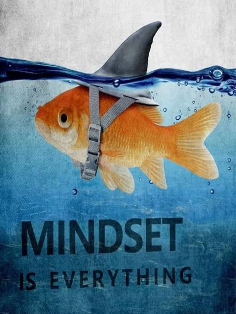 Mindset | PDF