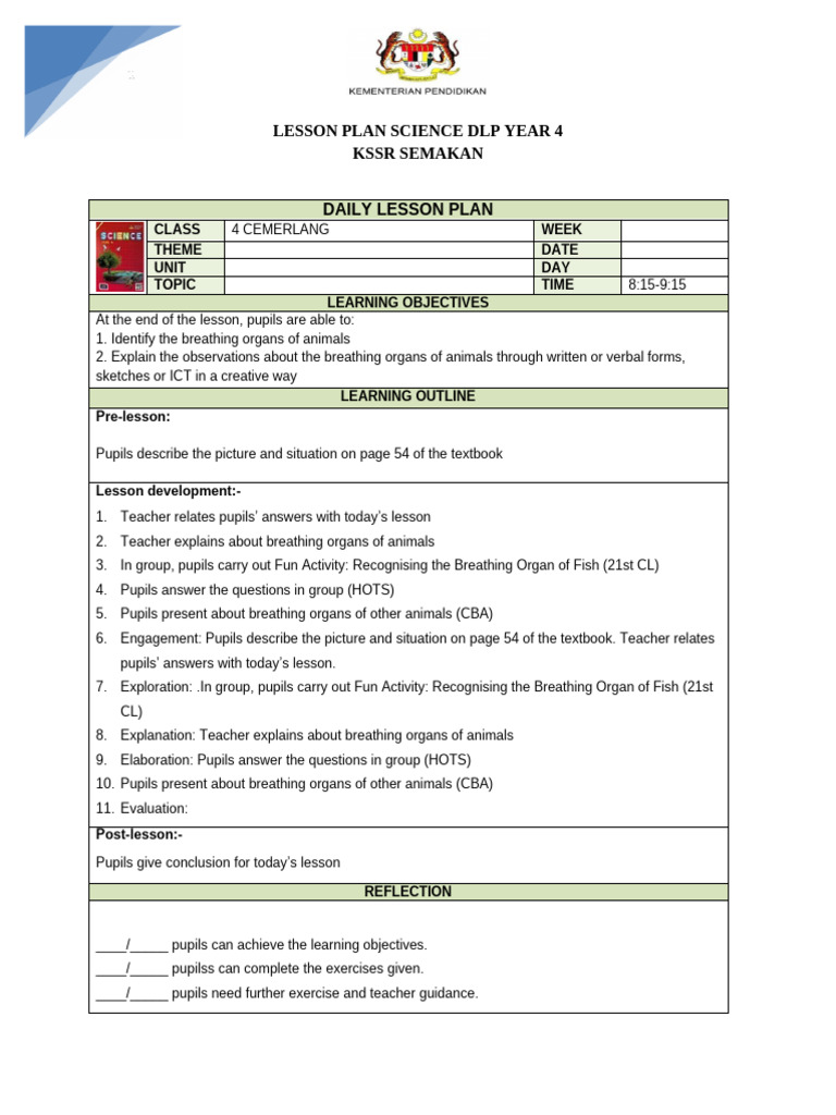 Year 4 Science Lesson Plans Overview | PDF | Lesson Plan | Vertebrates