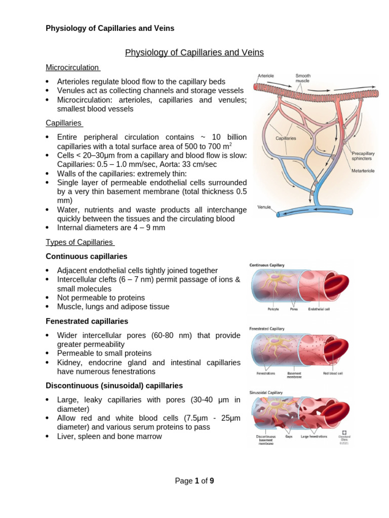 Physiology of Capillaries and Veins | PDF | Vein | Lymph