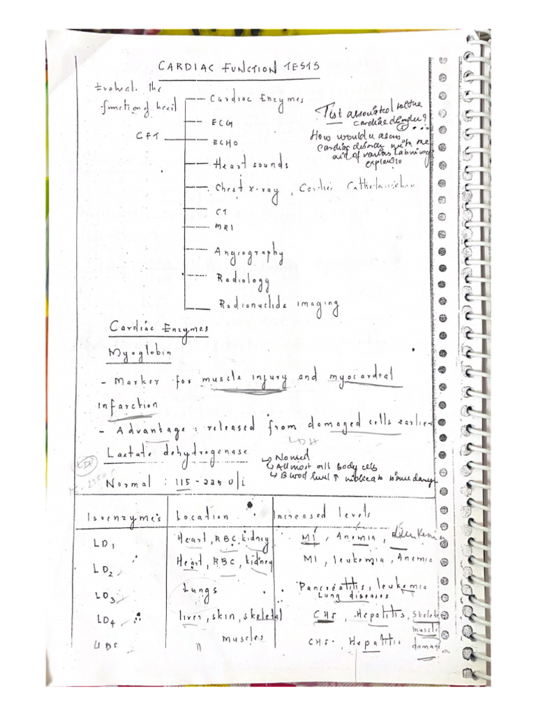 Cardiac Function Test | PDF