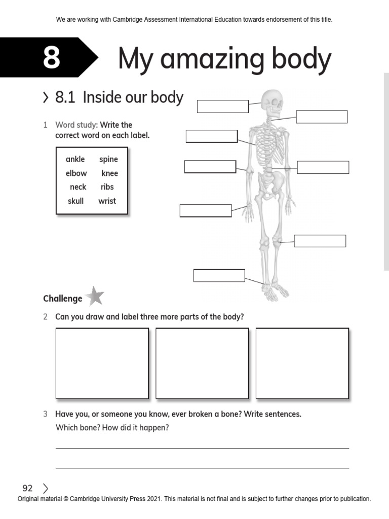 My Amazing Body: English Workbook Activities | PDF | Taste | Umami