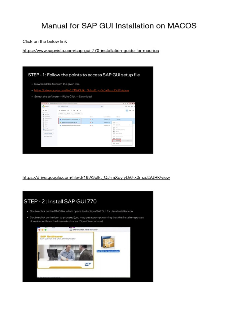 Sapgui Macos-2 | PDF