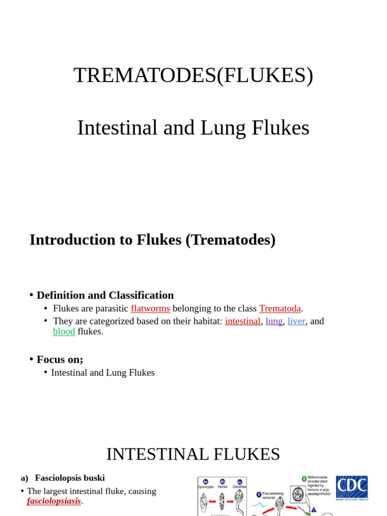 INTESTINAL AND LUNG FLUKES | PDF | Medical Specialties | Animals And Humans
