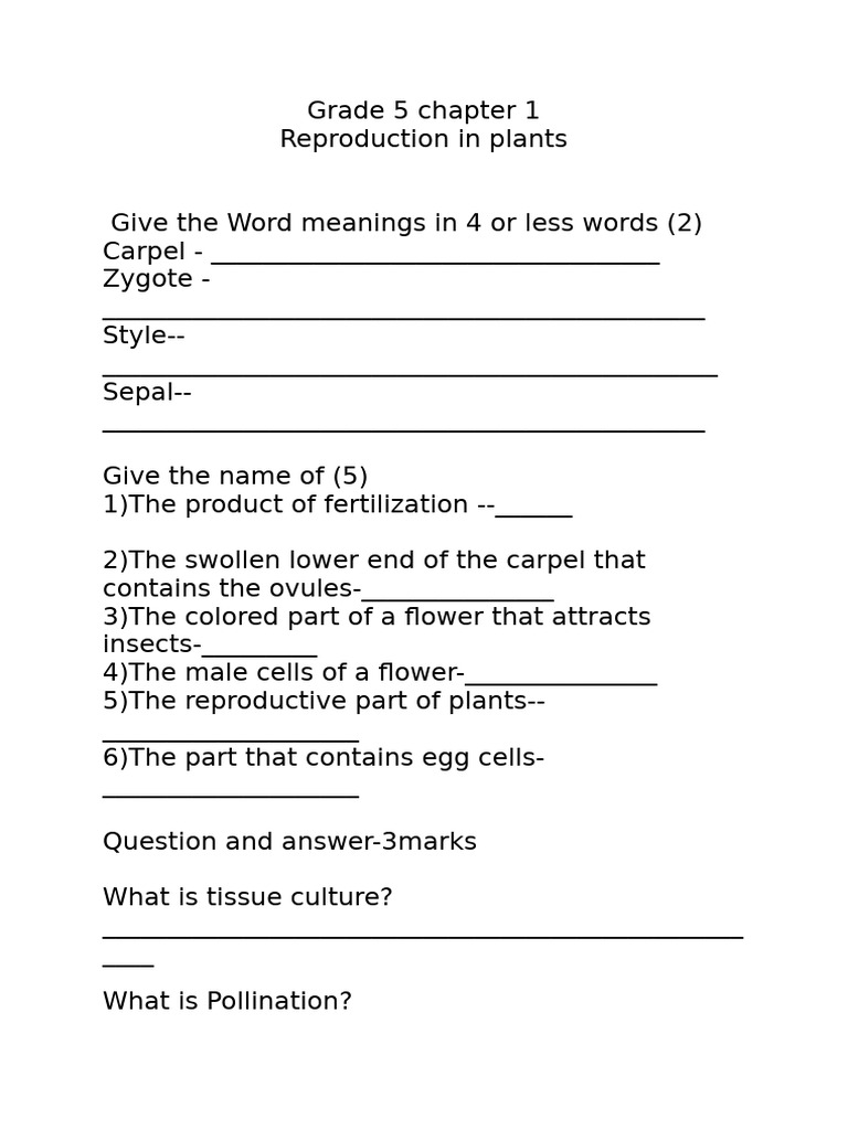 Grade 5 Chapter 1 | PDF