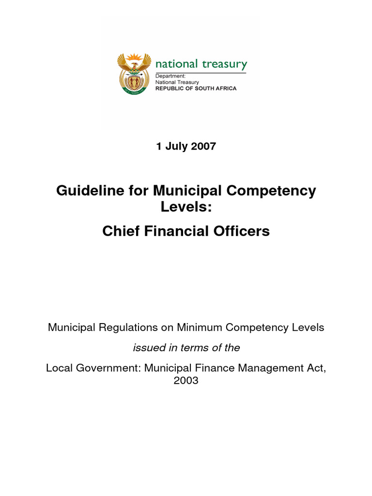 Guidelines For Cfo 21022007 Pdf Governance Expense