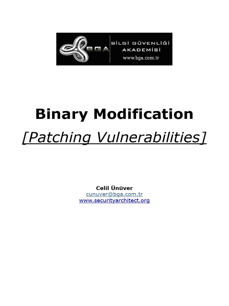38) Binary Modification -Patching- | PDF