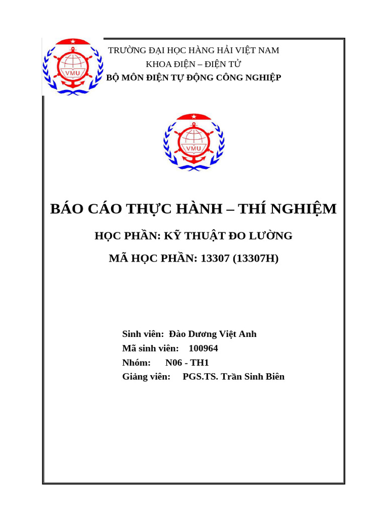 Báo Cáo Đo Lư NG - Bin | PDF