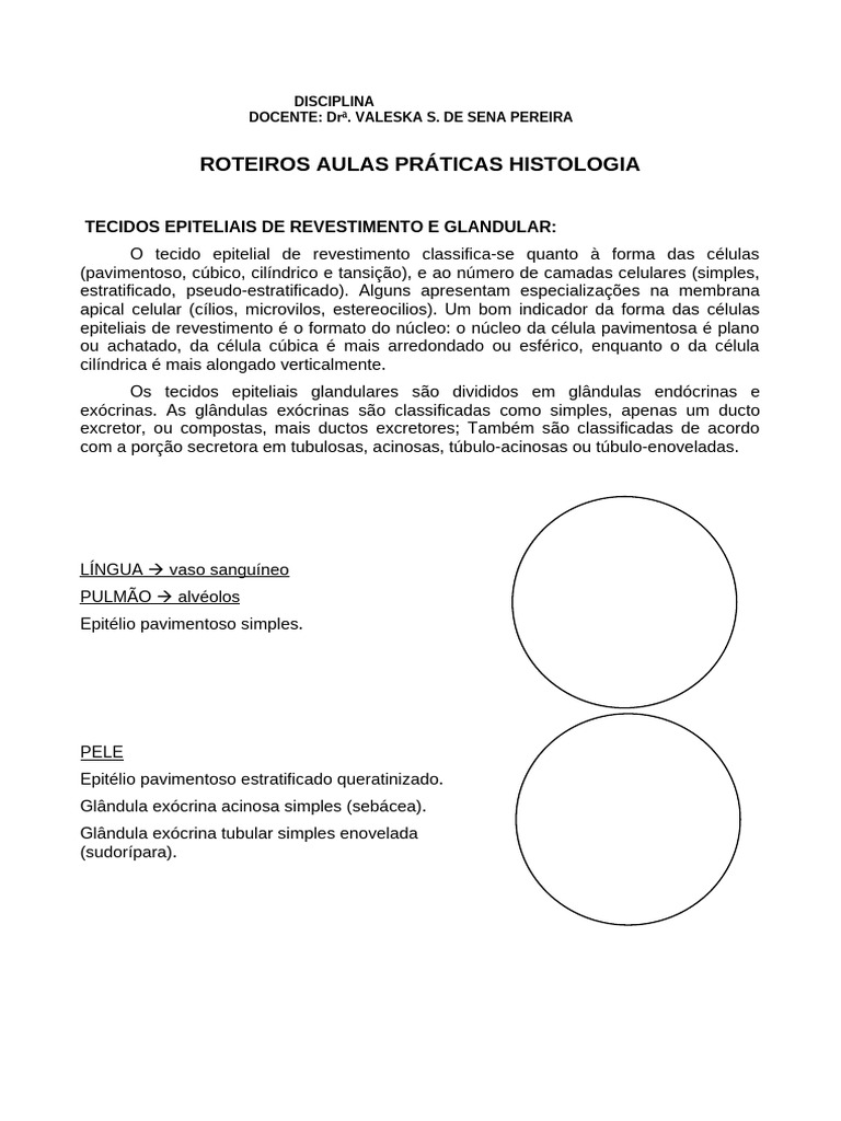 Roteiro Aula prática Histologia básica Anclivepa | PDF | Epitélio | Osso