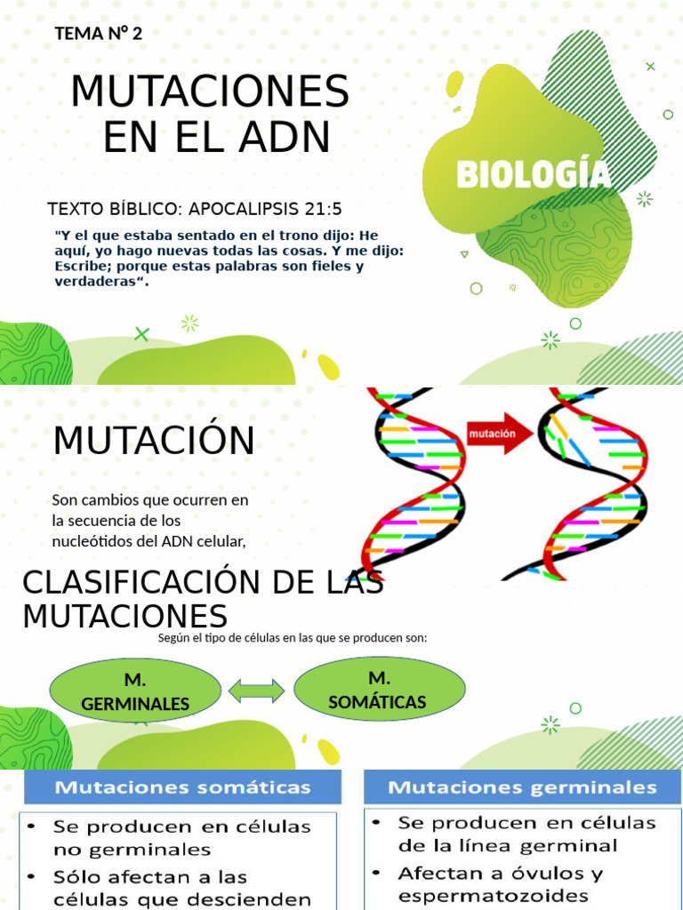 Mutaciones en el ADN: Tipos y Efectos | PDF | Mutación | Adn